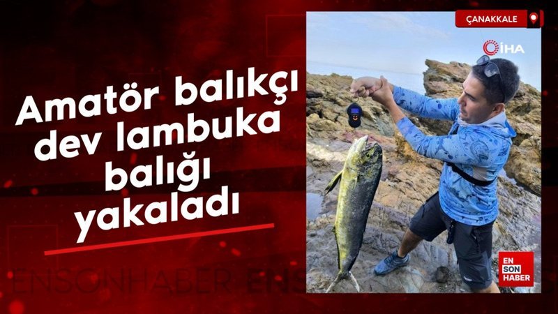Çanakkale'de amatör balıkçı dev lambuka balığı yakaladı - VİDEONUZ